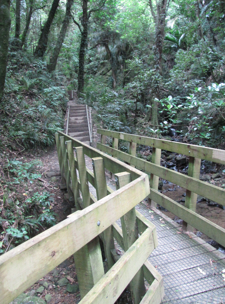 Explore and Discover Nature: Percy Scenic Reserve - Explore nature in ...
