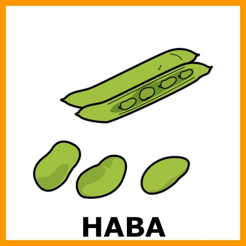 GEA EDUCADORES: "LA MIRADA ESPECIAL"