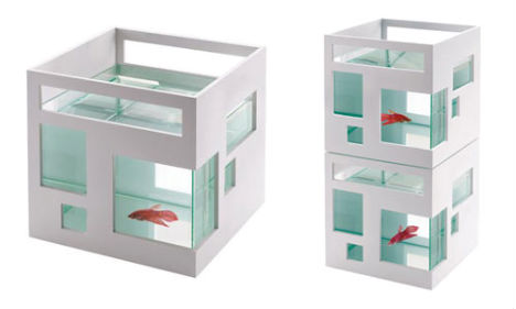 Modern dwellings for your furry friends!