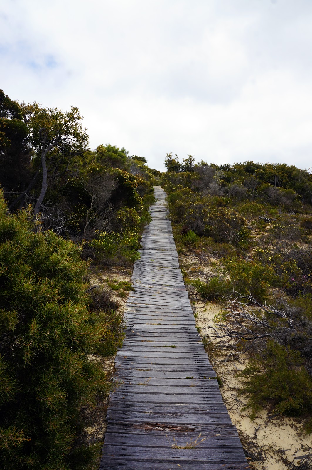 Point Possession Heritage Trail (Quaranup) ~ The Long Way's Better