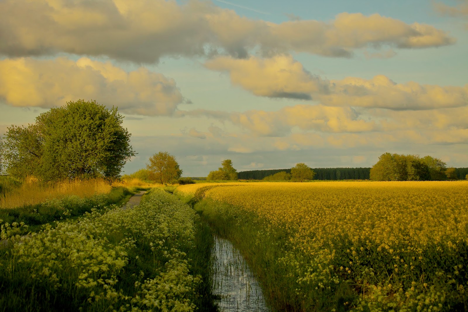 Natuurfoto Westerwolde: Mooie avond.