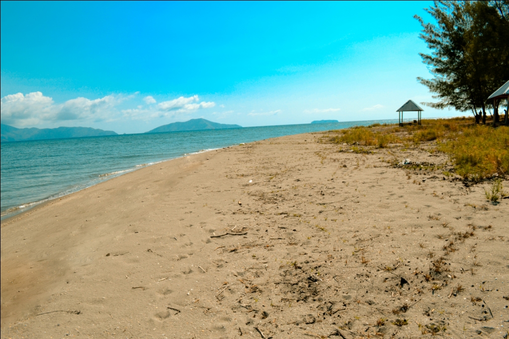 PARIWISATA KOLAKA: PANTAI PASIR PUTIH TANJUNG MALAAHA
