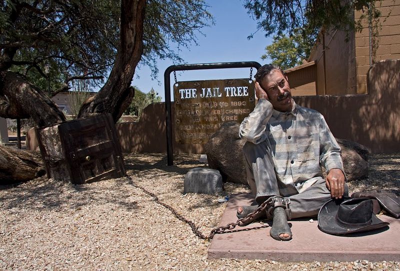 The Jail Tree of Wickenburg | Amusing Planet