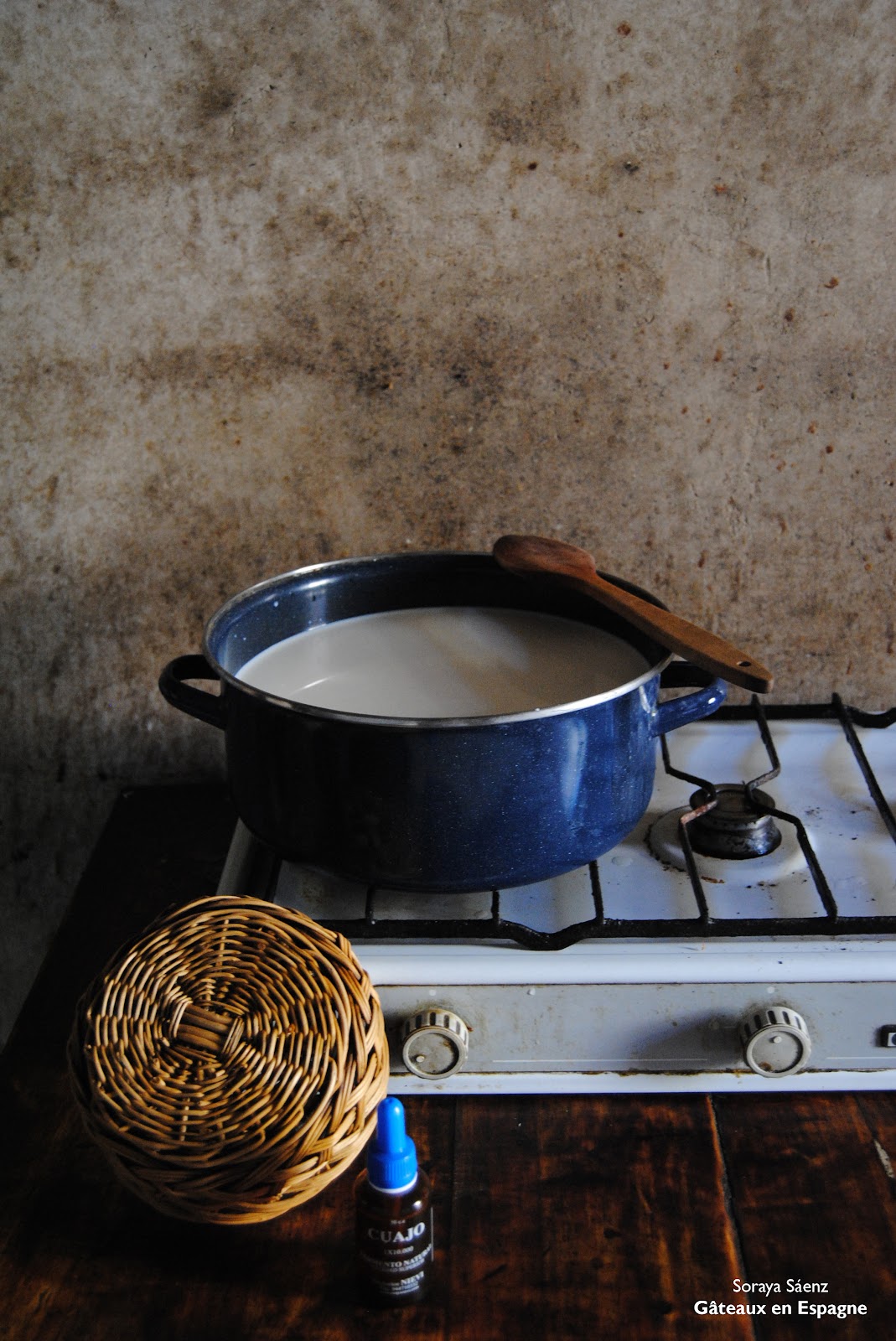 GÂTEAUX EN ESPAGNE: Comment faire du fromage de chèvre à la maison: