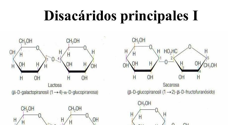 CARBOHIDRATOS: DISACARIDOS