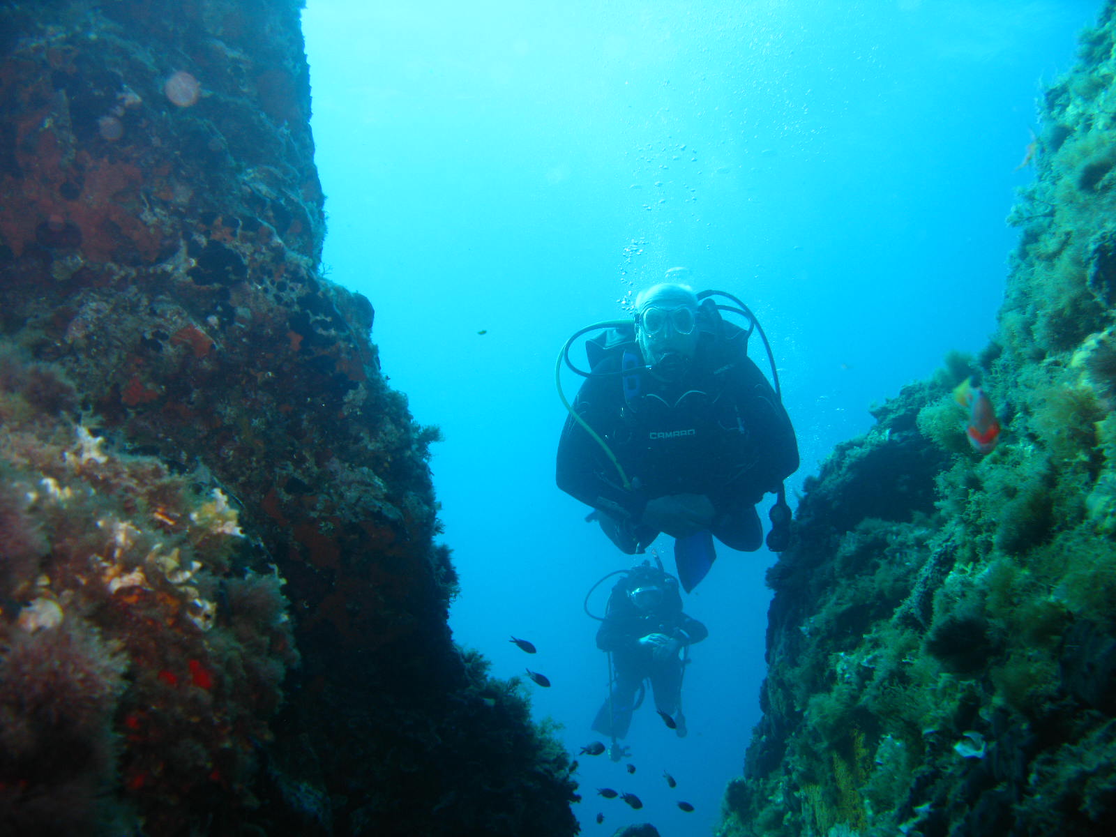 Petries Divers Club: Απο τΙς καλοκαιρινες δραστηριοτητες μας