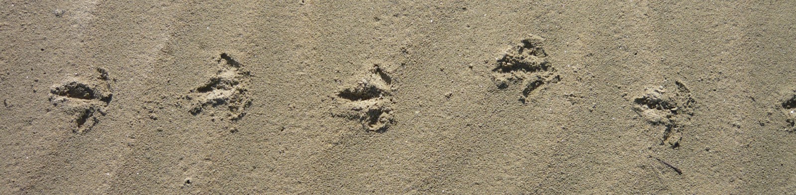 Explore and Discover Nature: March 2013