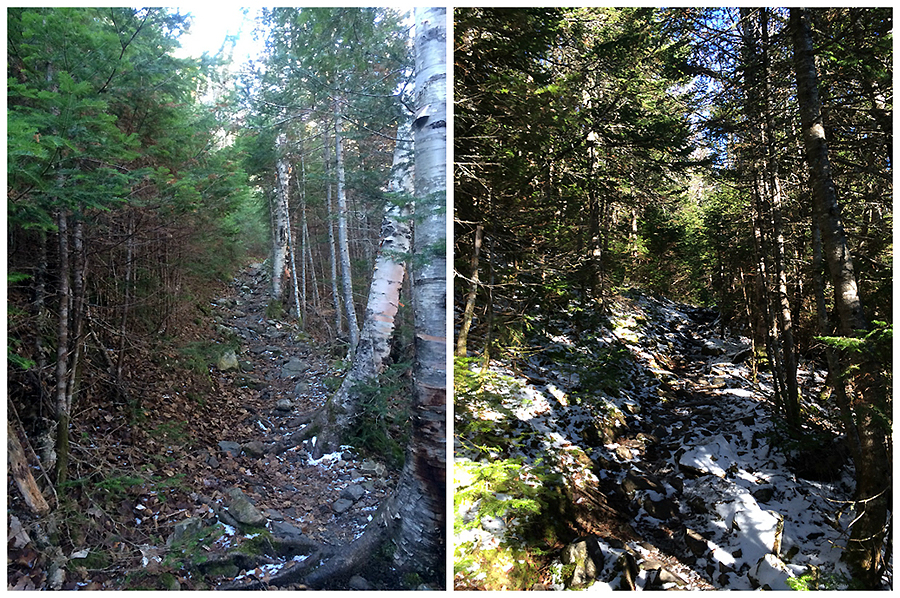 Hiking in the White Mountains: Livermore Pass and the Old Town of ...