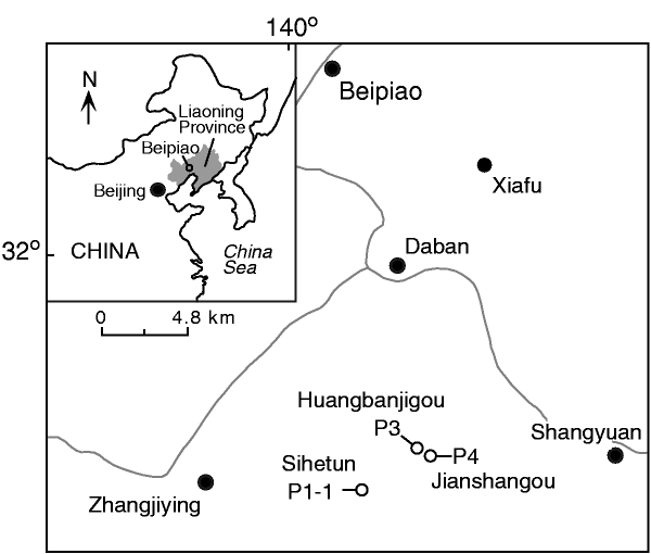 Species New to Science: [Paleontology • 1999] Cretaceous age for the ...