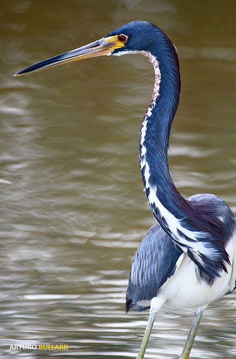 Viajes, Fotografía y Más: marzo 2013