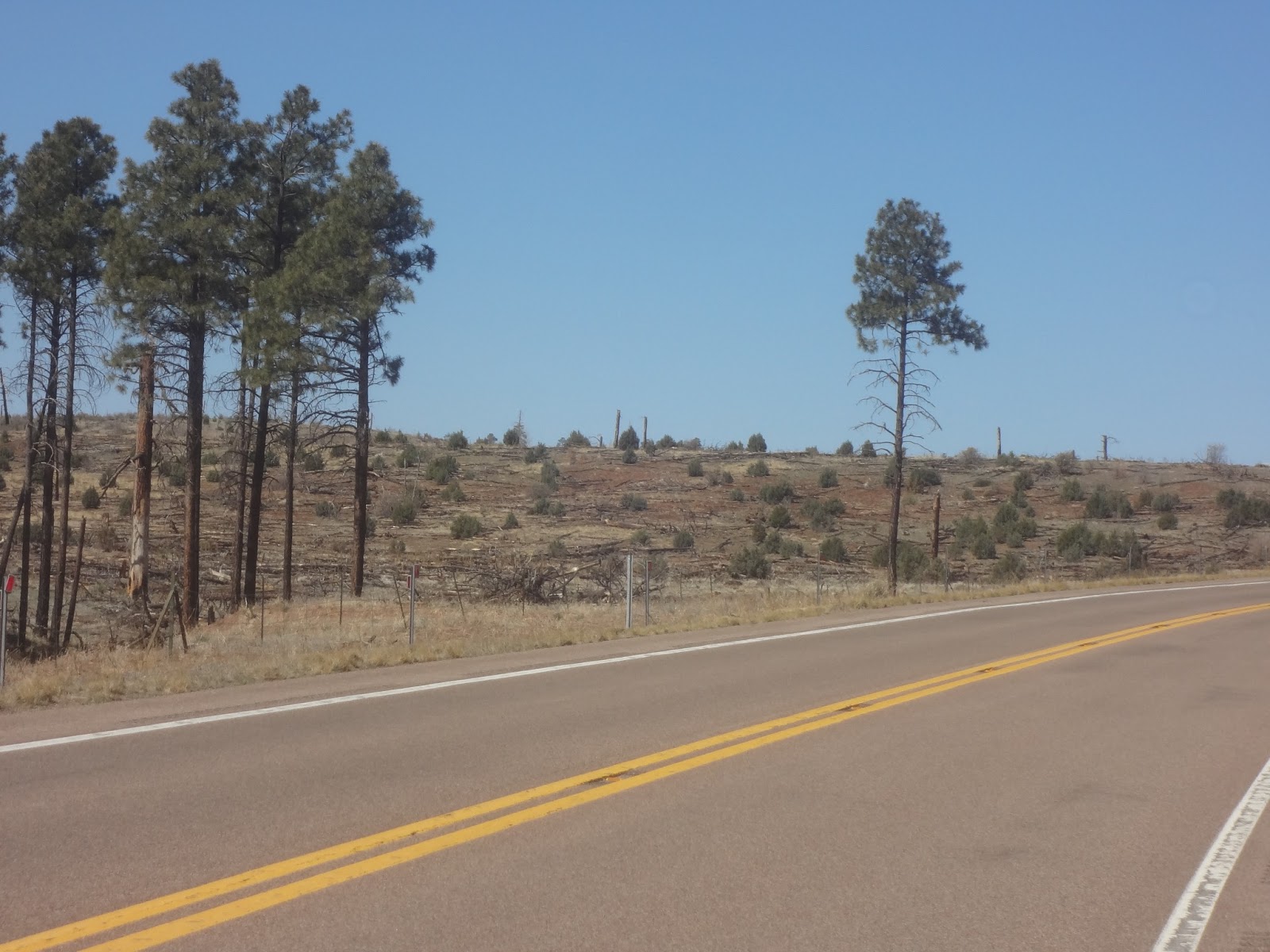 The travels of the Rambling Roses: Overgaard/Heber to Payson Arizona ...