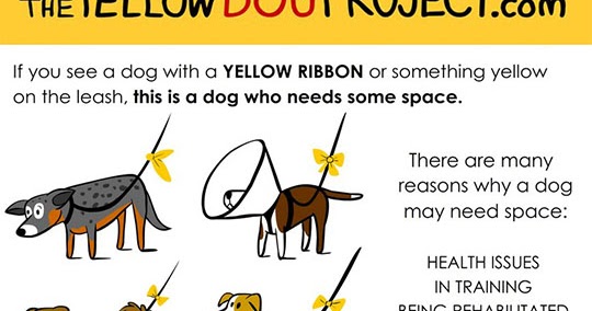The Yellow Dog Project: Designing a message... |unpressable buttons