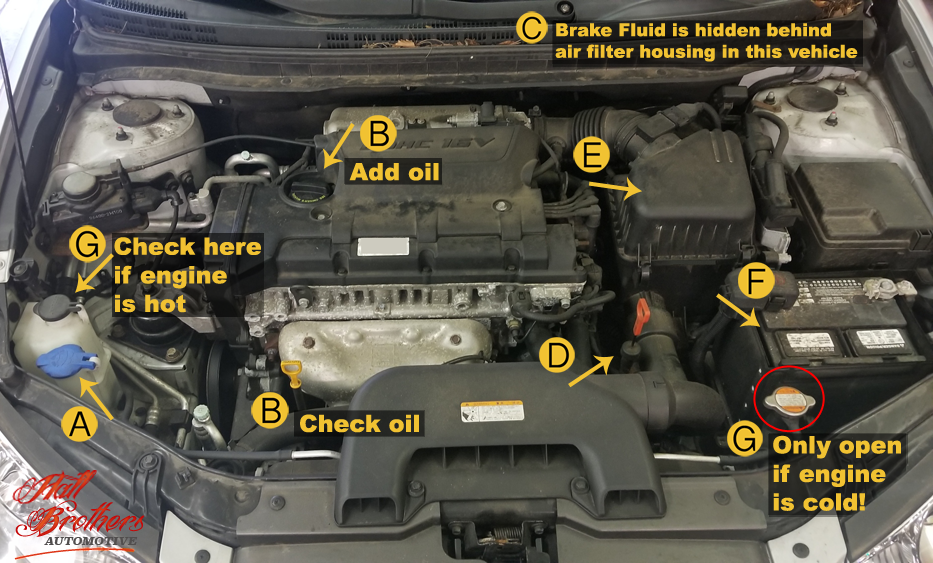 Hall Brothers Automotive: General Car Maintenance Checklist