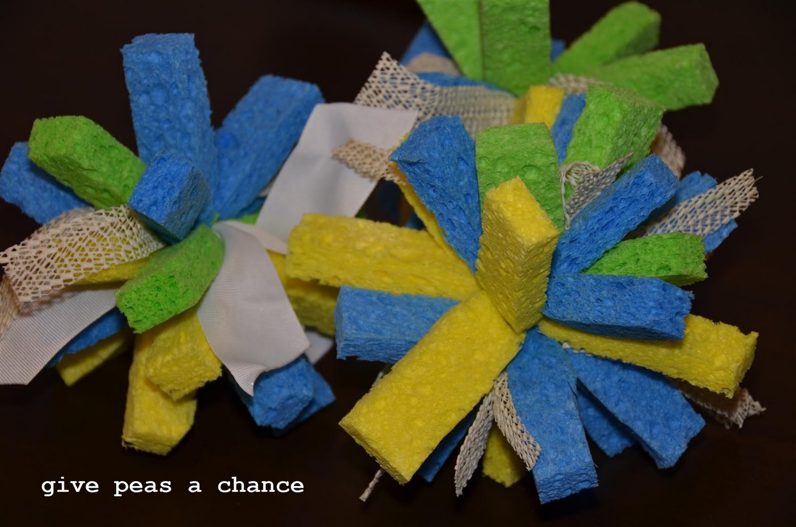 Give Peas a Chance: Sponge Ball Water Fun