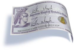 Travelers Checks de AMEX | Dinero en el extranjero