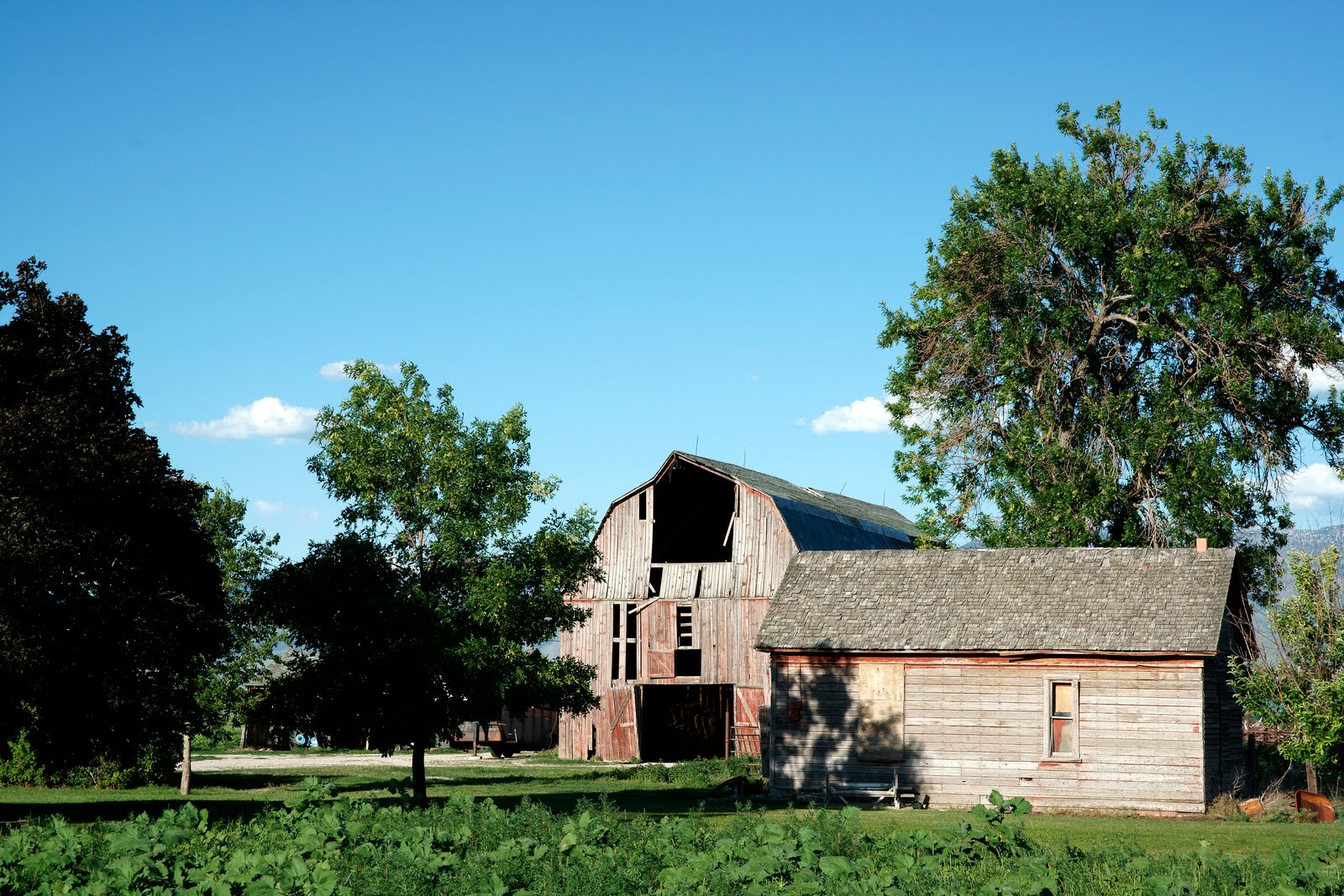 The Old Cowboy and Photography: Barns of Cache Valley