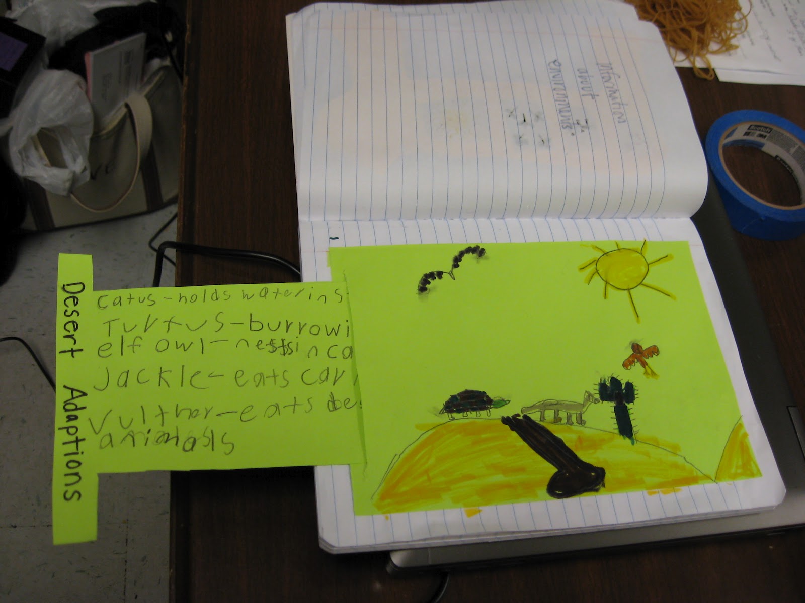 Paper Pull Out Template (Teachers Pay Teachers)