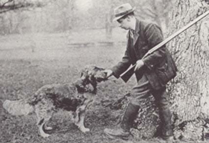 Goldens Retriever - Portal Peru: Nous,el primer Golden Retriever de la ...