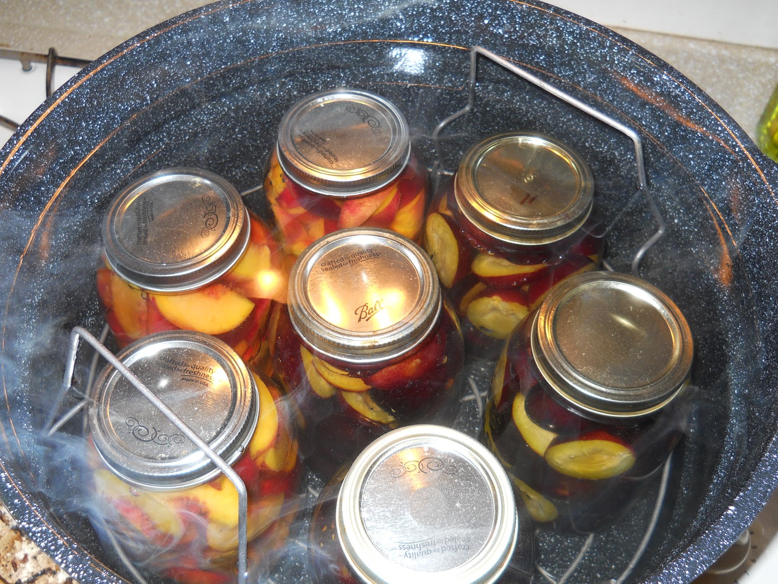 Rich Ideas: SEPTEMBER- Canning Peaches & Prunes