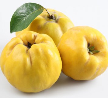 Il mondo di Fikreta: La cotogna di Istanbul - Žute dunje iz Stambola