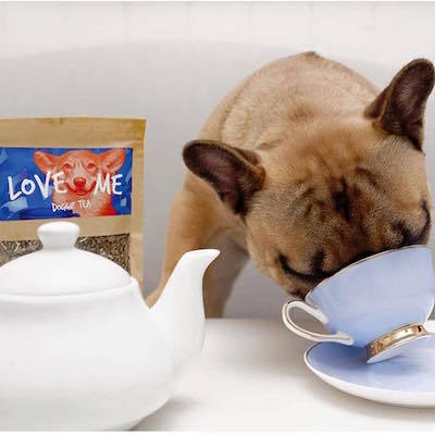 First Tea for Dogs - Me, Myself & Tea | Australian Dog Lover
