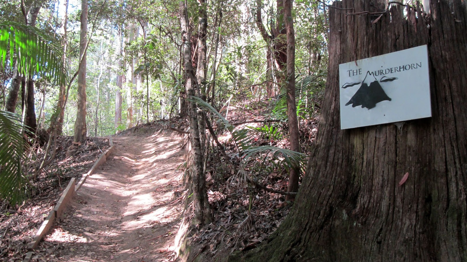 ROCK'S ADVENTURES: AUSTRALIA - AWABA SF - MTB - 13 december 2013