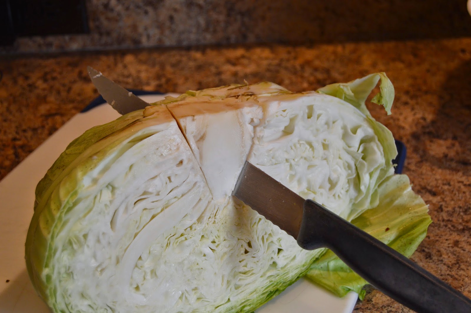 Preparedness in the Garden: The Ancient Art of Fermenting Foods