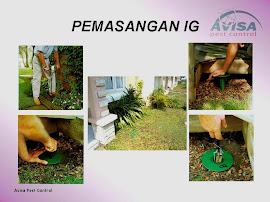 AVISA PEST CONTROL: Hama Utama Serangga
