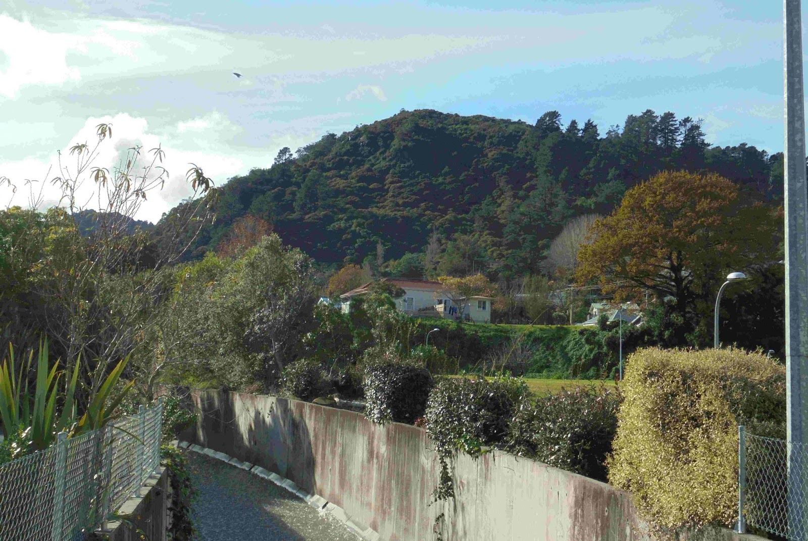 Thames NZ: Genealogy & History Resources: Thames (NZ): Karaka (Una ...