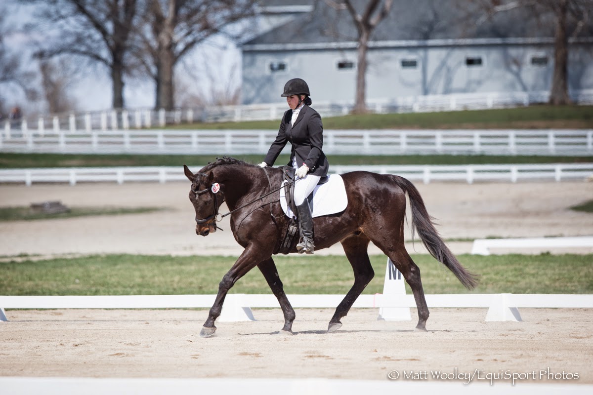 From Racehorse to Showhorse: April 2015
