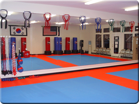 Gambar Tempat Latian Taekwondo - Dojang Taekwondo - Taekwondo