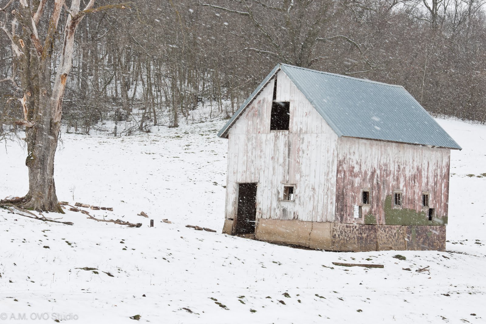 The Spotting Eye: Rural USA: Wisconsin Highway 82 (Near LaFarge, WI) #2