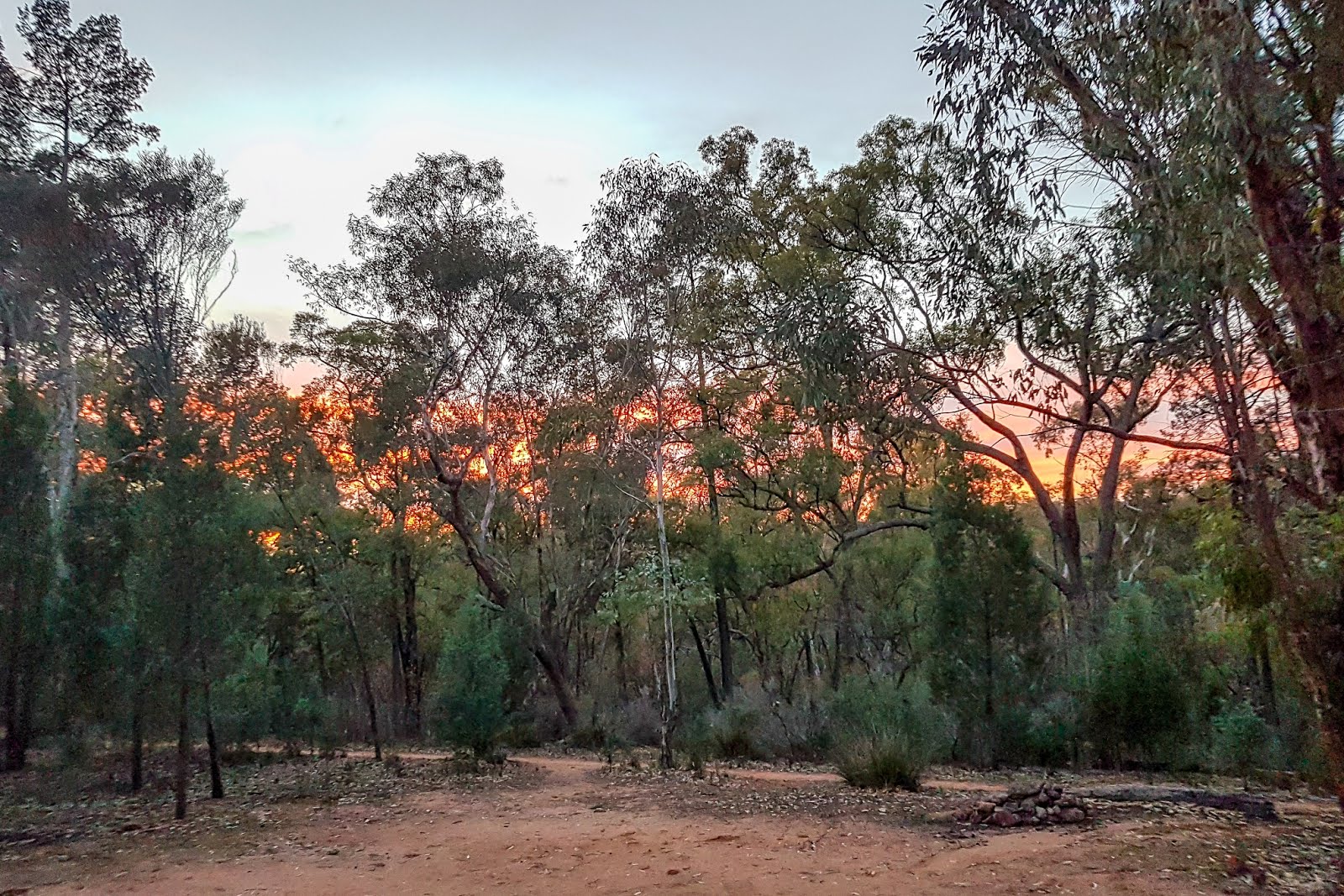 National Park Odyssey: Sculptures in the Scrub Picnic Area and ...