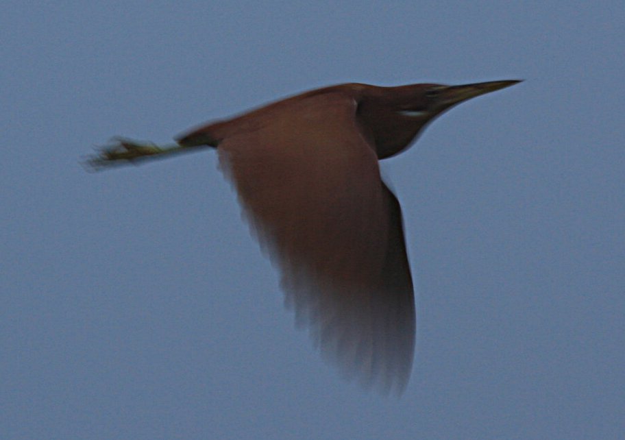 Pyarabola: Kundalika Valley: Mystic Mountains in Magical Monsoon
