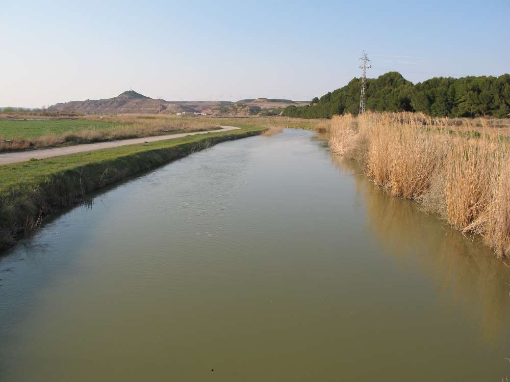 Flora medicinal, alimenticia y artesanal de la Ribera Navarra: El Río ...