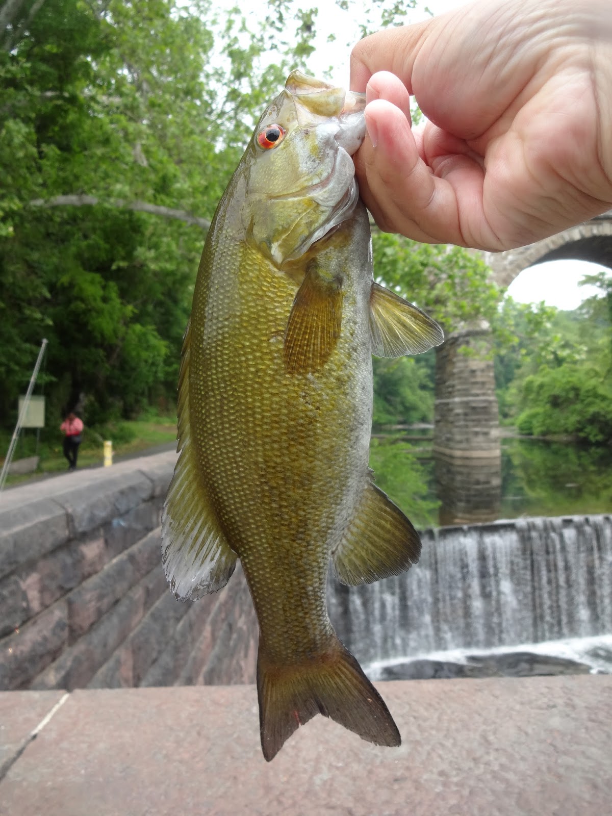 Extreme Philly Fishing: May Fishing Sessions: 05/19 - Fishing the ...