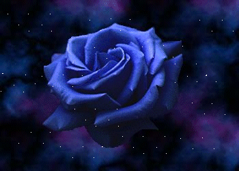 GIFS ANIMADAS ***: *** ROSAS AZUIS I