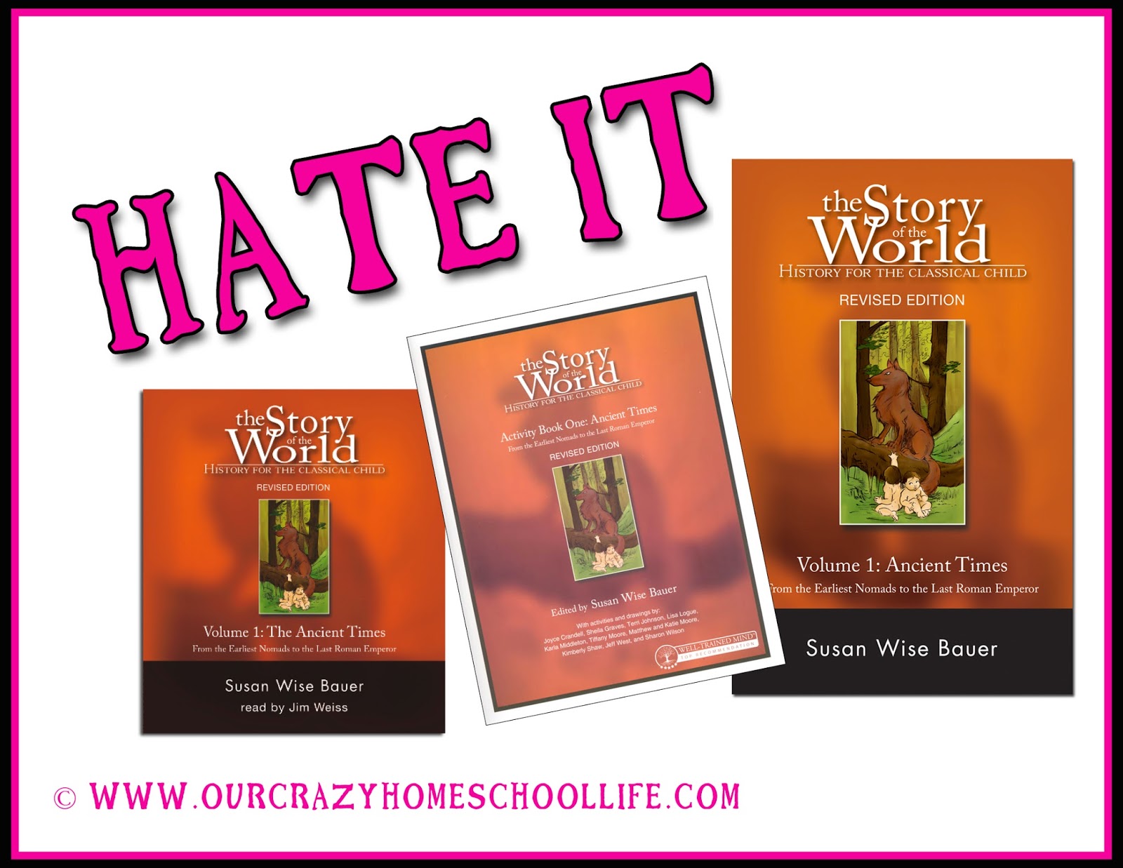 Love It, Like It, Or Hate It... - Our Crazy Homeschool Life