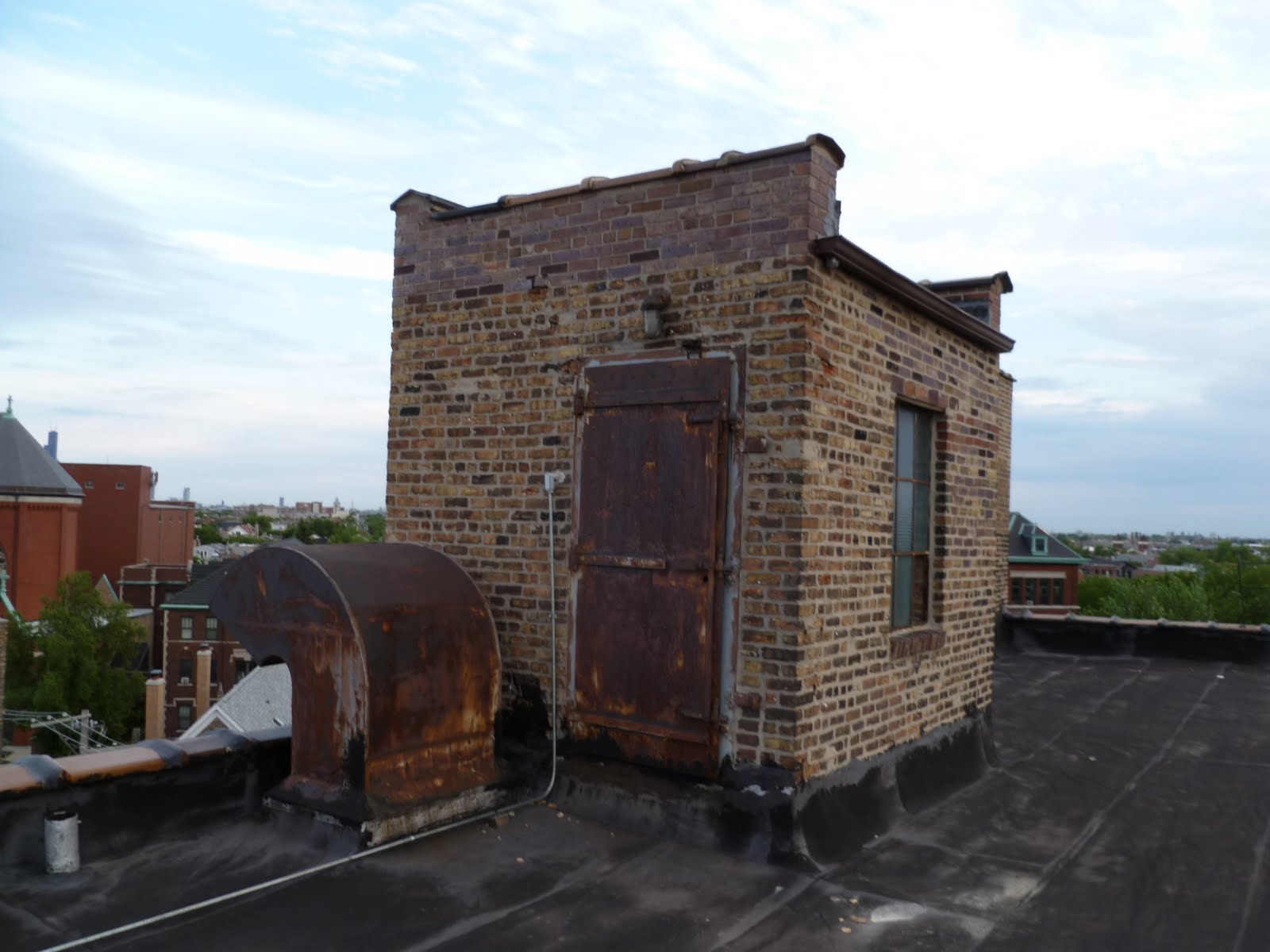 Vicissitudes of the Damned: Issue No. 81: Feather Metsch's Polaroid ...