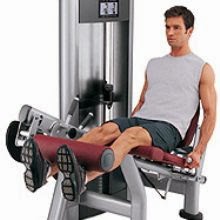 COMO CONSEGUIR PIERNAS MAS GRANDES - EL CAMALEON