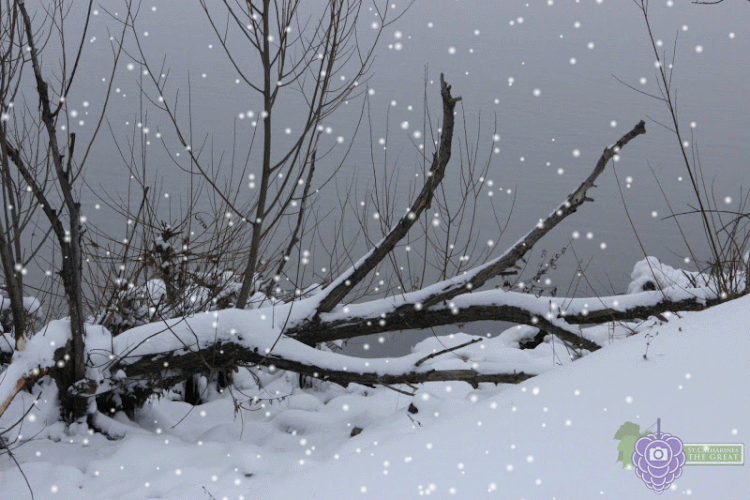 SCG Niagara: Winter Series | Falling-Snow-Effect on a Few Photos I Took ...