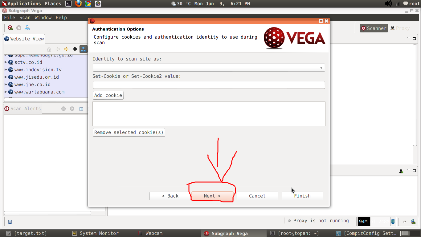 Tutorial Scanning Website Dengan Vega Kali Linux - Skrip Hijau