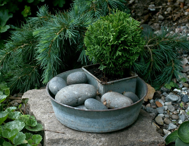 HAVETID: Havens sten og planter.