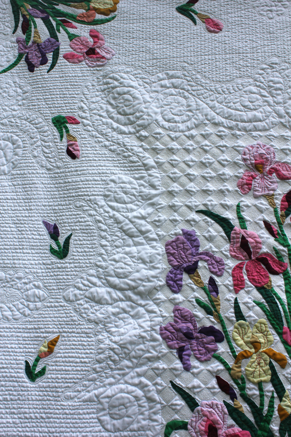 Stitchnquilt: Iris Applique Quilt