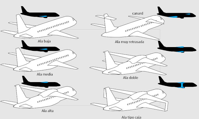 El vuelo de la Gran Avutarda