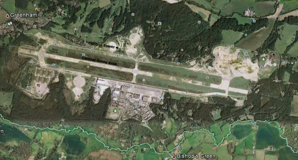 Greenham Birding: Greenham Common Birds