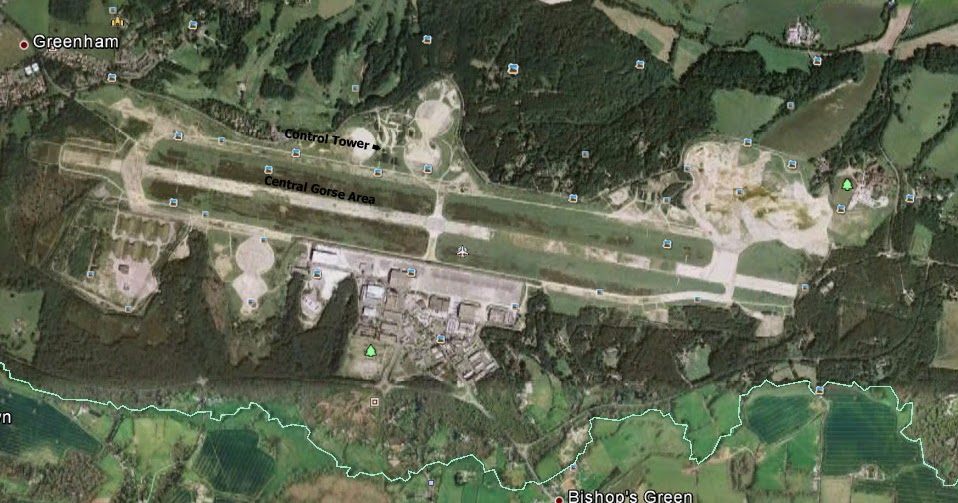 Greenham Birding: Greenham Common Birds