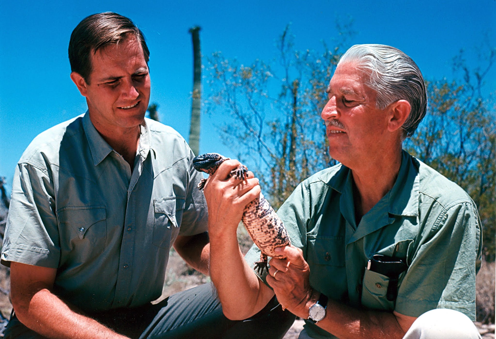 Welcome to RolexMagazine.com: Jim Fowler Belongs To The Ages 1932-2019