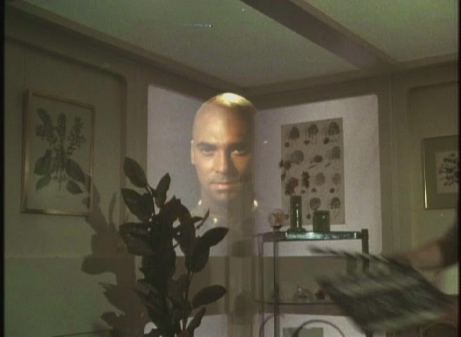 John Kenneth Muir's Reflections on Cult Movies and Classic TV: The Cult ...