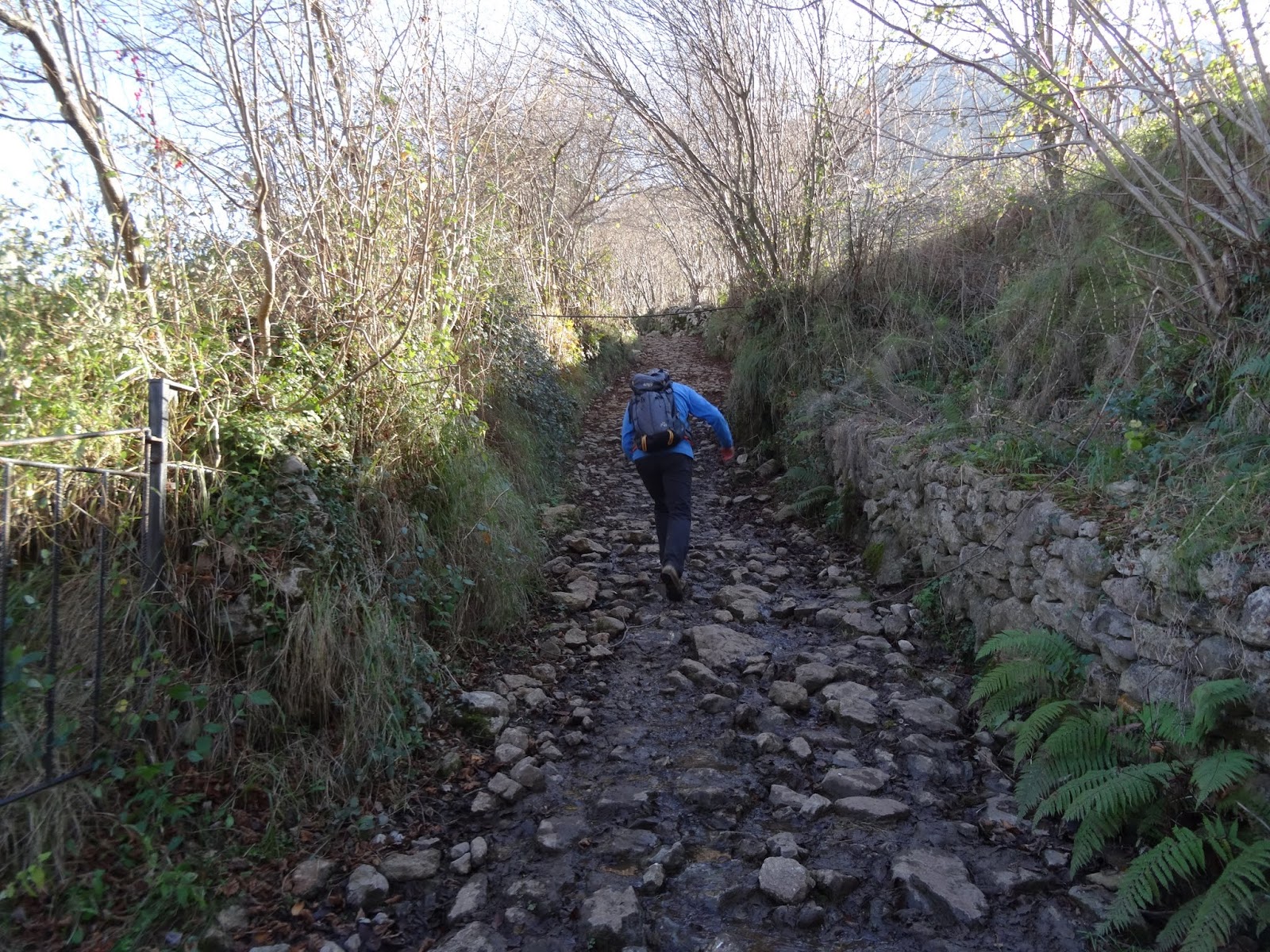 Pindio, pindio: Samartín-Serandi-Pedroveya-La Rebollá